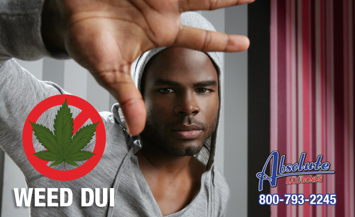 DUI Marijuana in California | What Happens If I'm Charged with a ...